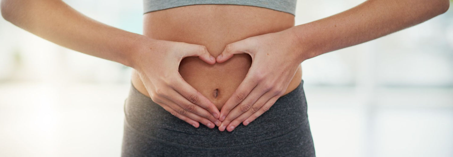 The Gut-Fertility Connection: The Link Between Probiotics & Fertility ...